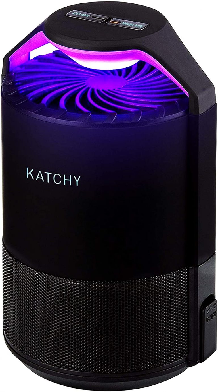 15 Best Fly Traps - Full Guide With Pro Tips & More