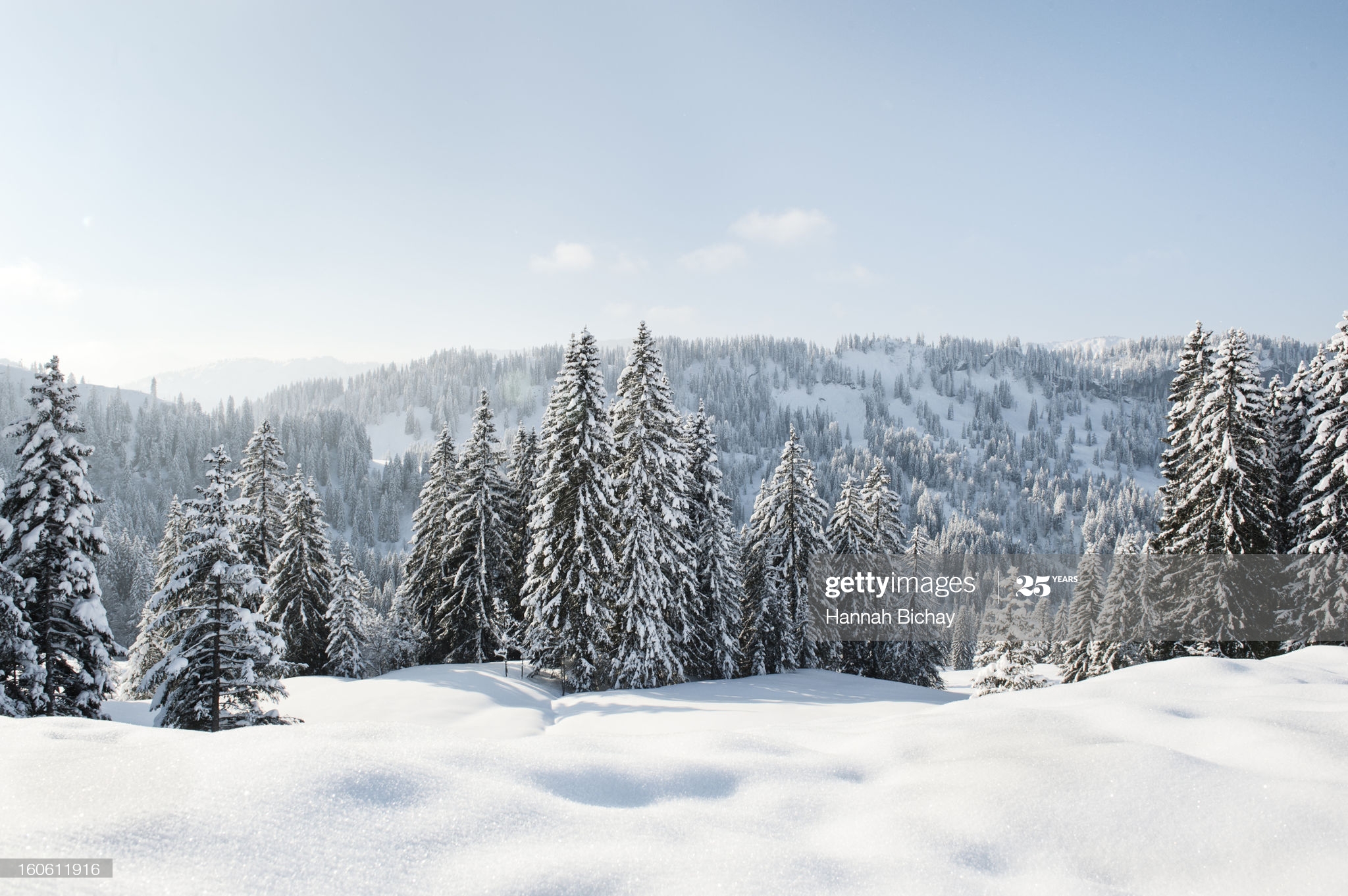 How to Survive Extreme Winter - Full Overview