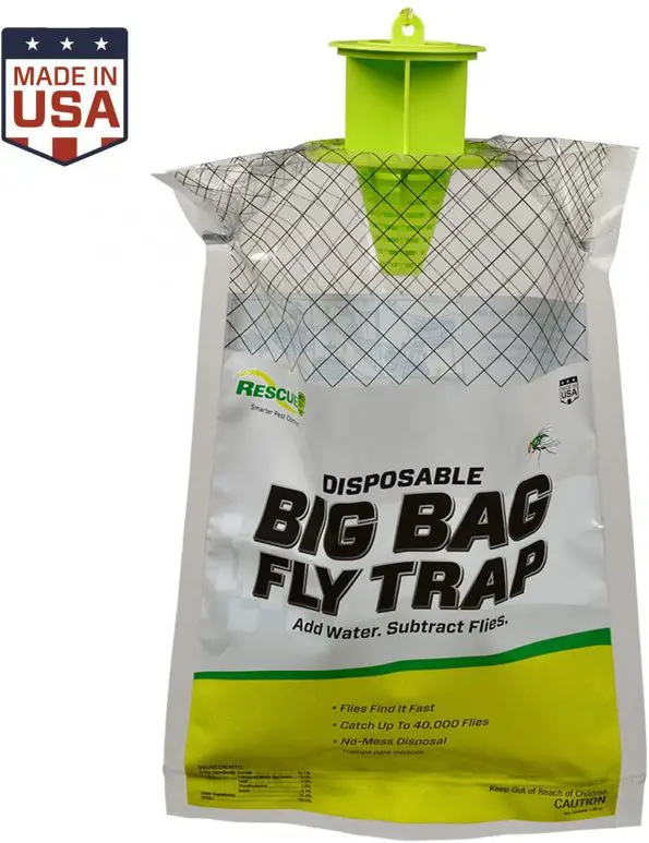 15 Best Fly Traps - Full Guide With Pro Tips & More